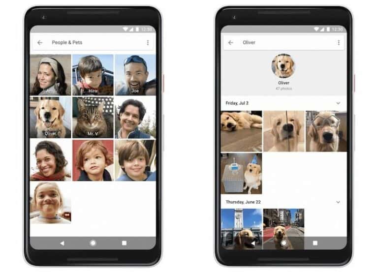 Google Lens now identifies the breed of dog or cat you just took a ...