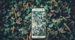 5 apps that are revolutionizing green technology