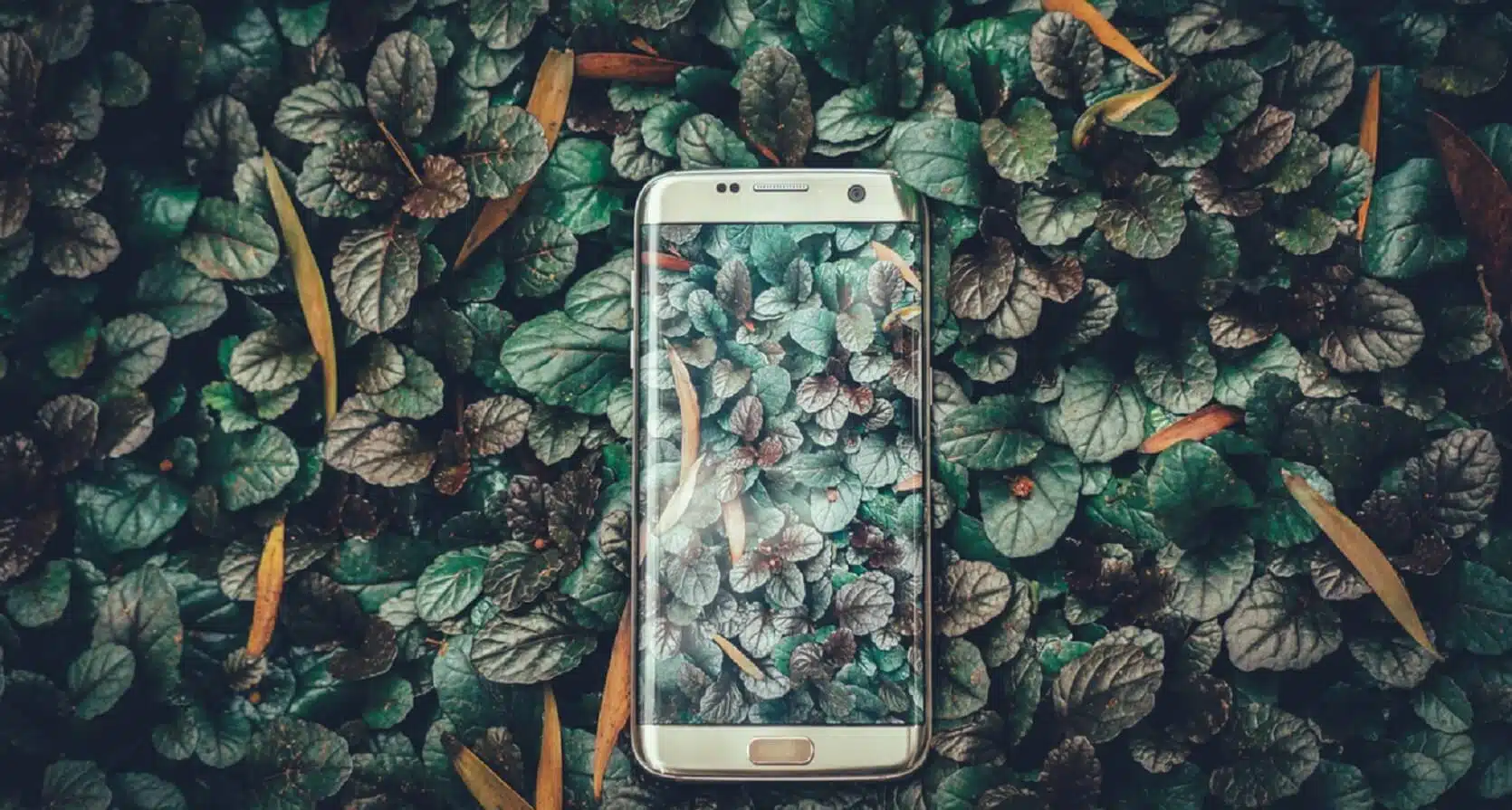 5 apps that are revolutionizing green technology