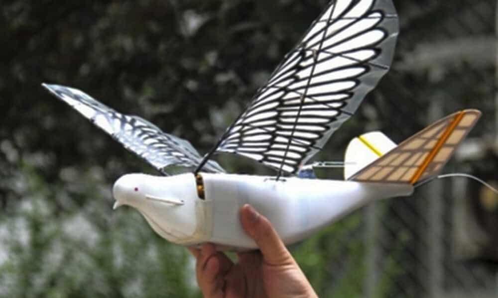 Surveillance drones that look like birds are flying around China