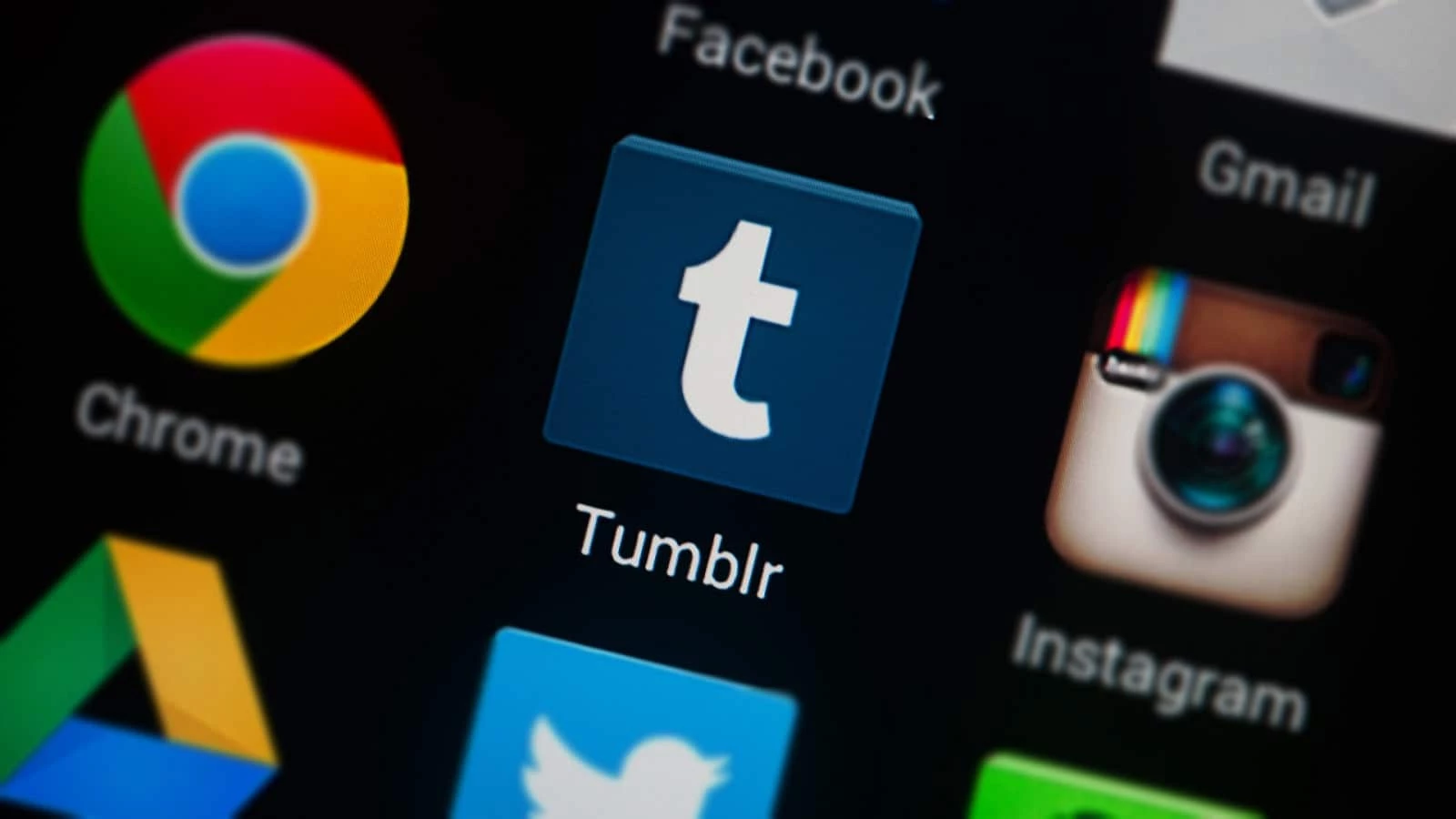 Tumblr is banning porn, here’s how to back up your account