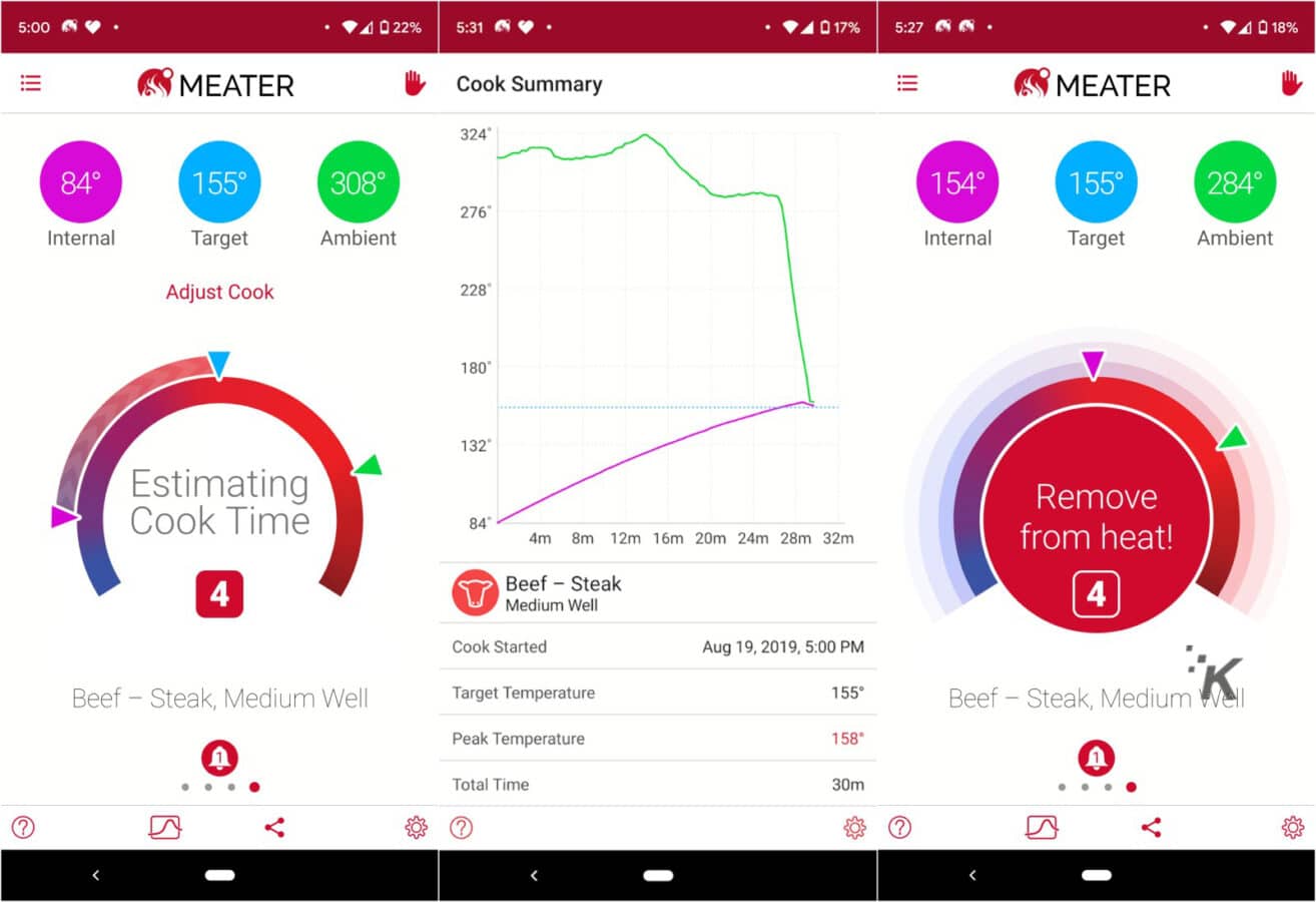 Review: Meater Block - a bit expensive, but what's the price of failed BBQ?