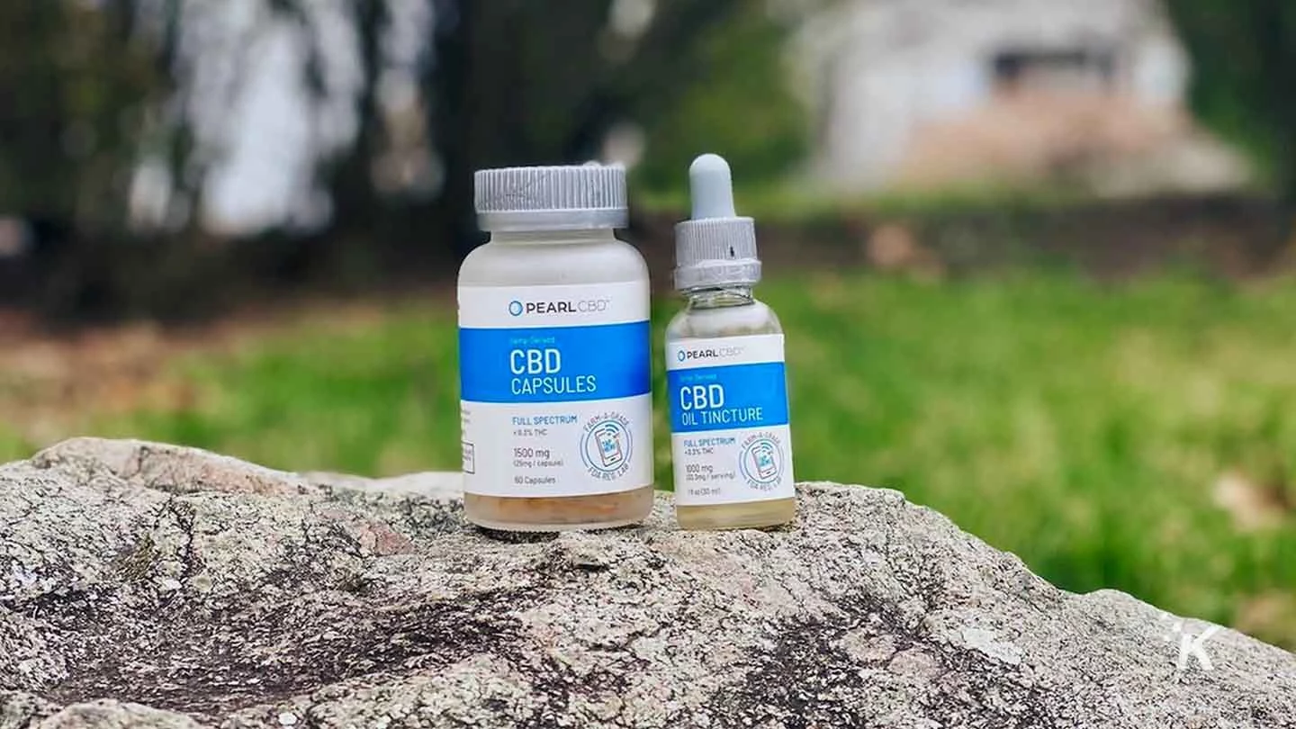 5 best CBD capsules: A buyer’s guide (2020) | KnowTechie