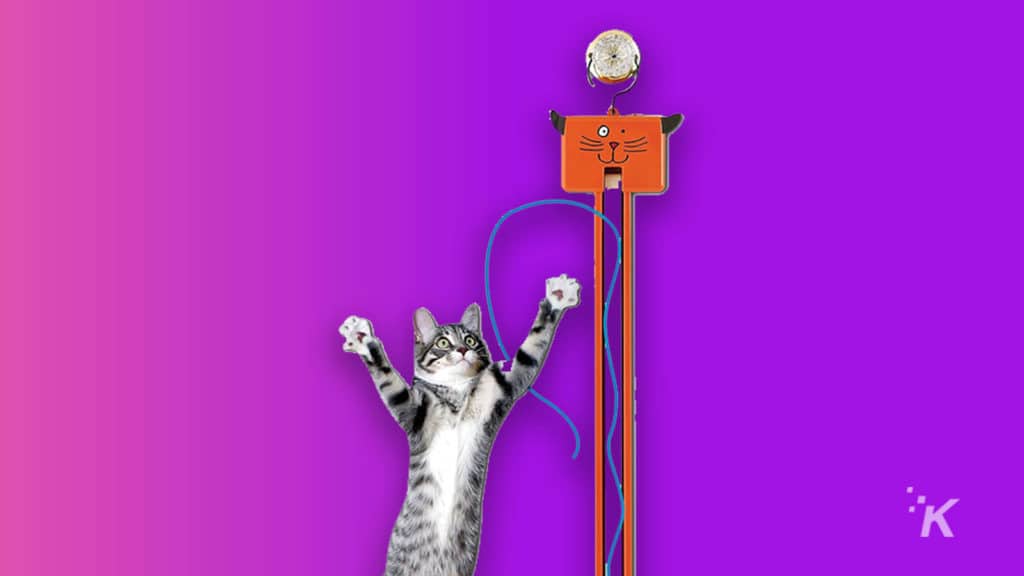 Some of the best tech toys to keep your cats from ripping your furniture