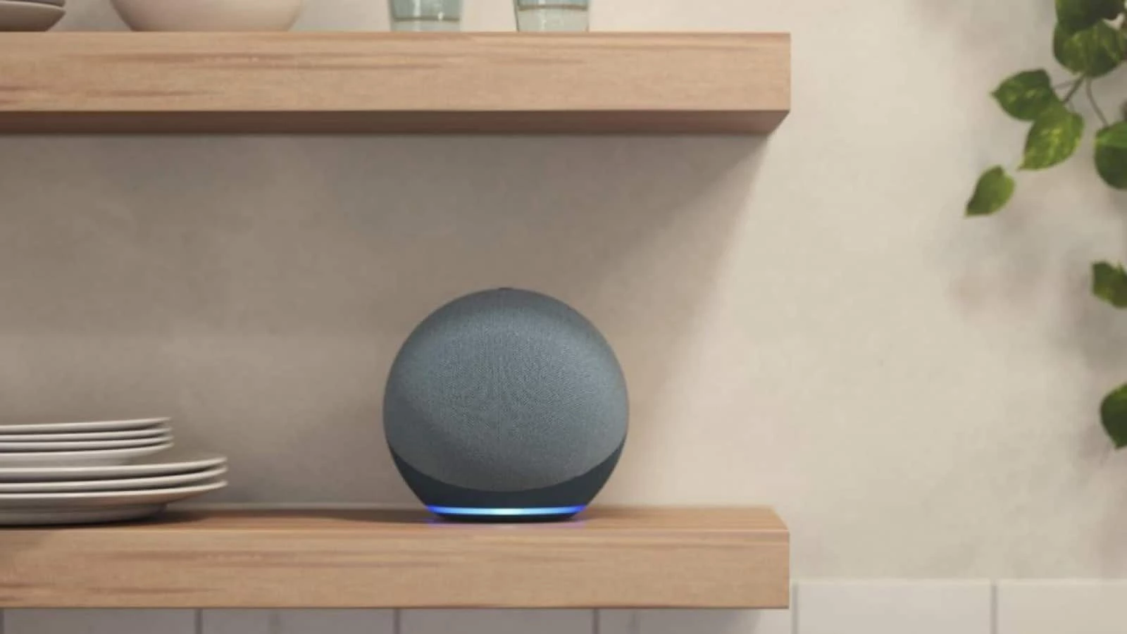 Alexa can now talk to you via text - here's how to do it