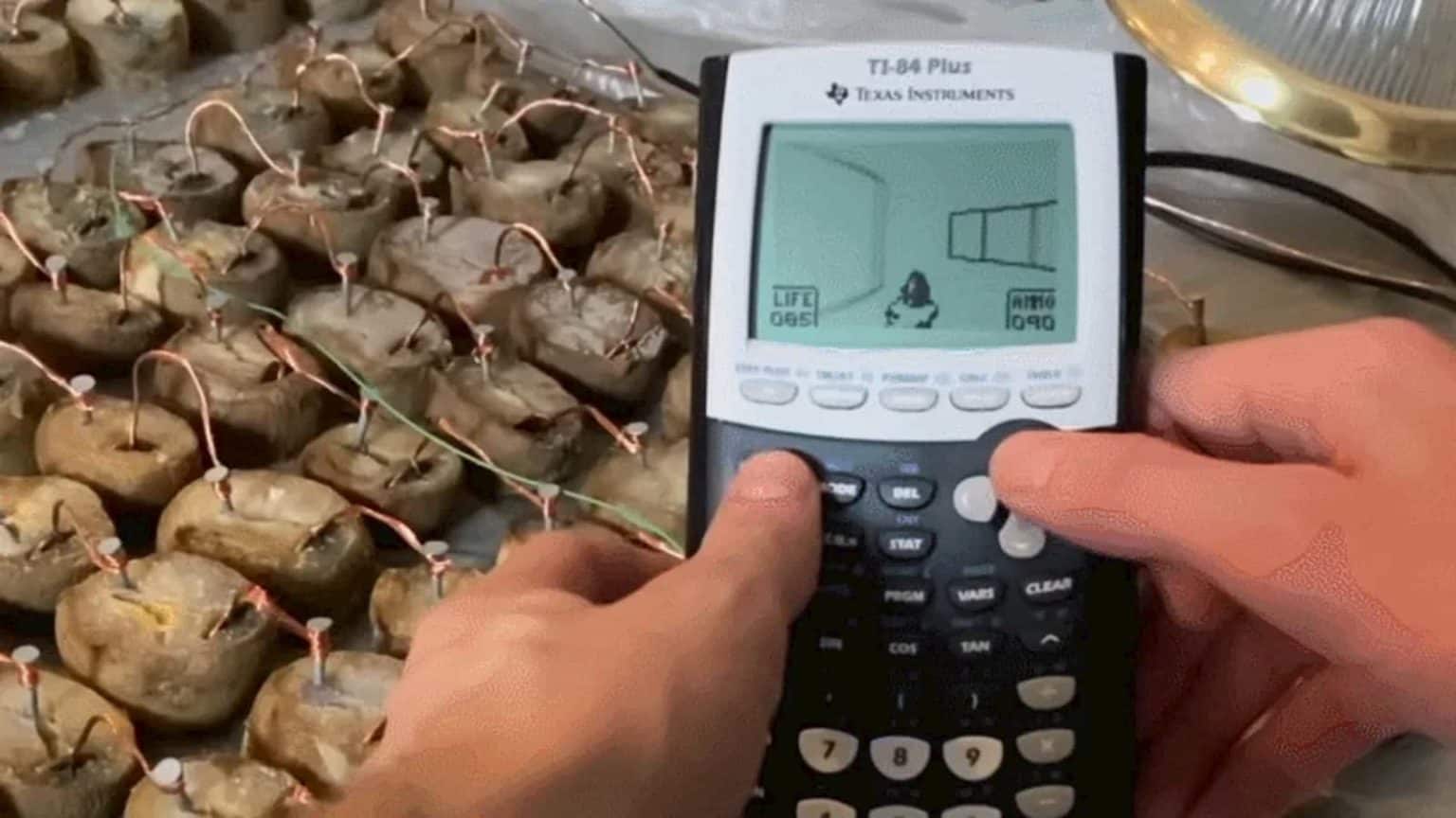 Here's Doom being played on a calculator powered by old potatoes
