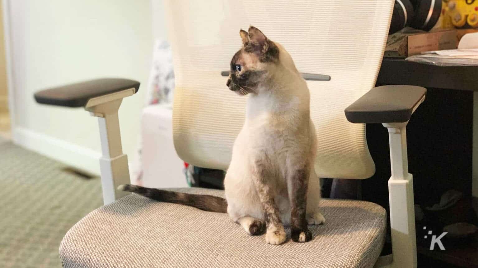 Review: Omega Chair - big on features, but what about comfort?