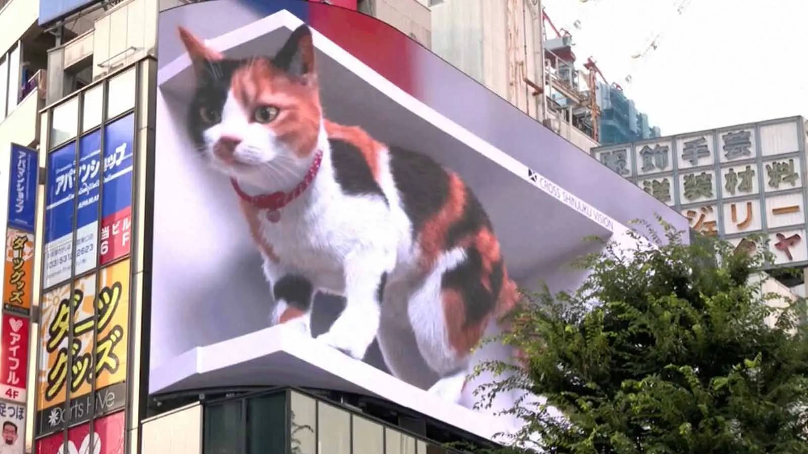I would do anything for this digital billboard cat in Japan