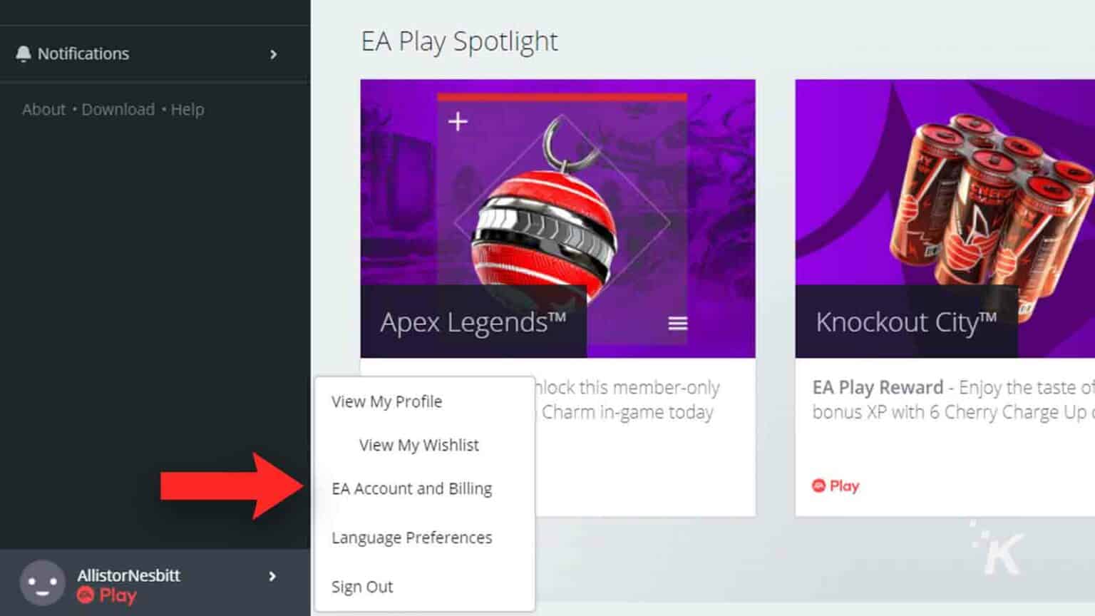 How to change your EA/Origin username