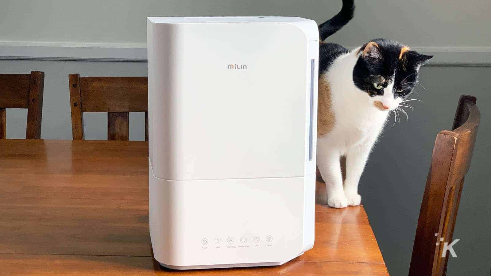The Milin Cool Mist Humidifier is a great humidifier with an added features
