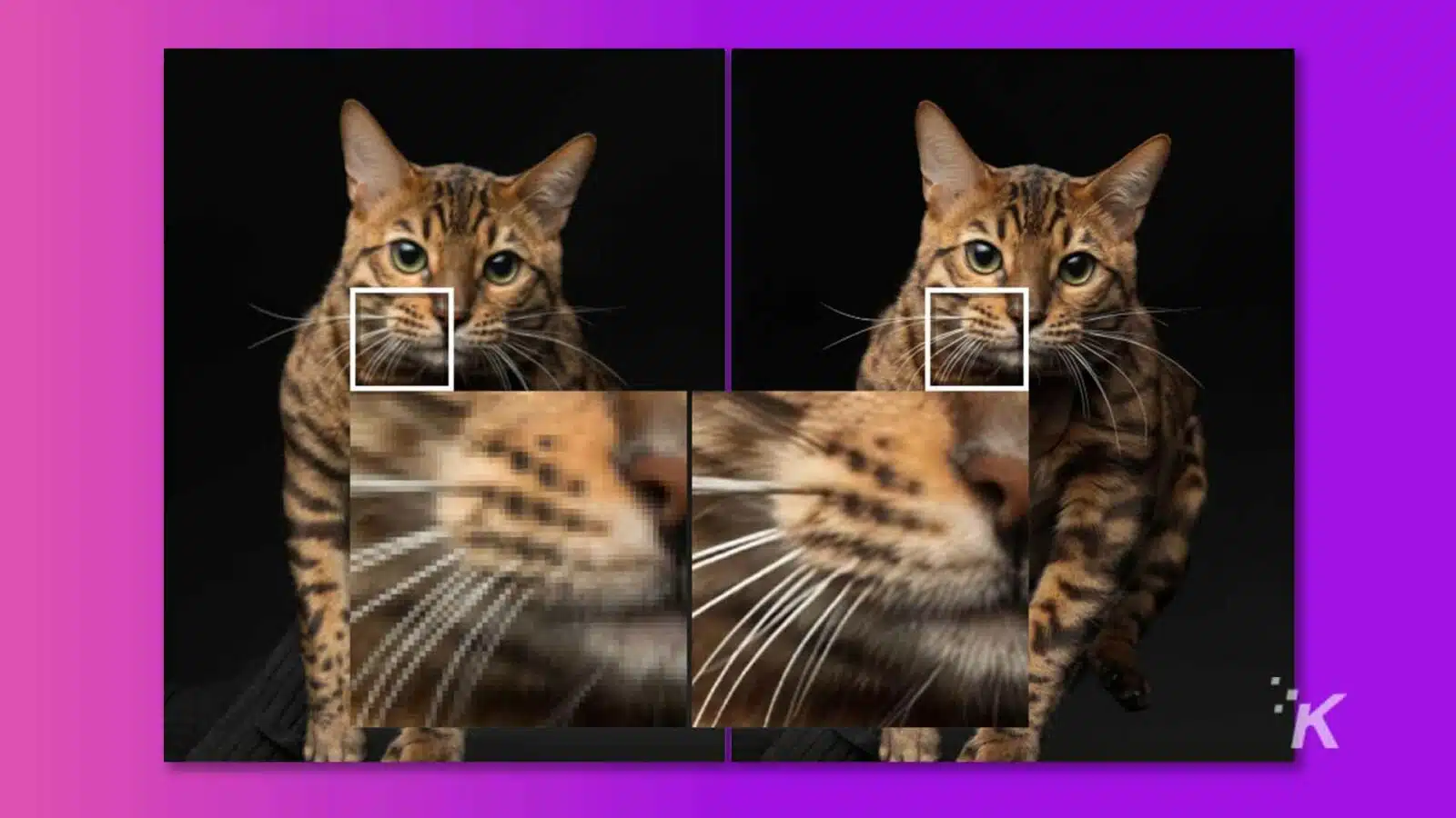 Why choose an AI photo enhancer | KnowTechie