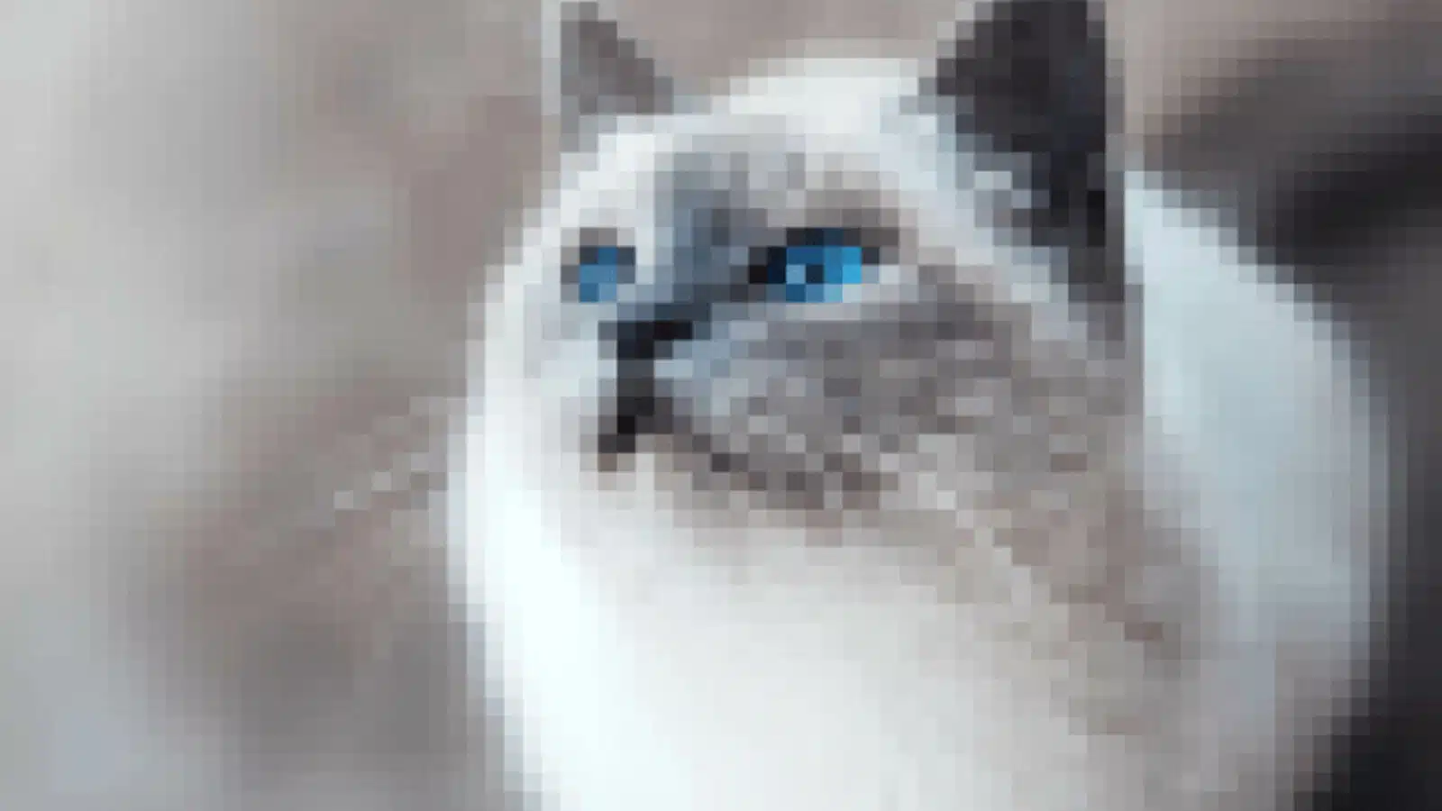 How to unblur a video on desktop & mobile: full guide | KnowTechie