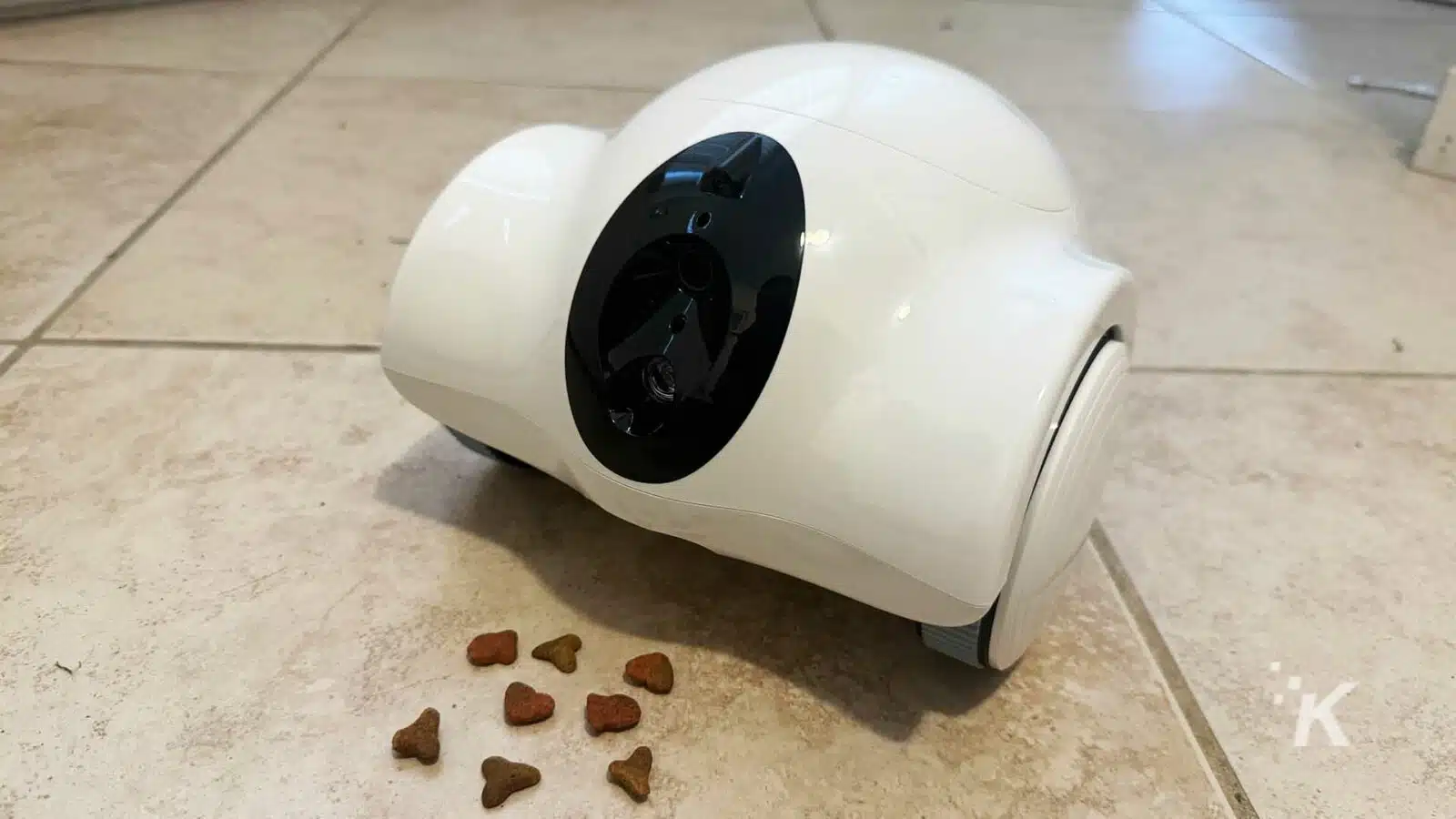 Keep an eye on your pets with the Hiibo camera pet companion robot ...