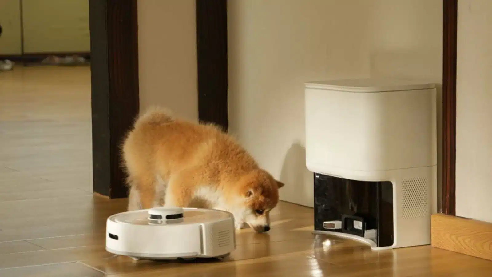 SwitchBot's mini vac delivers big cleaning in a compact design | KnowTechie