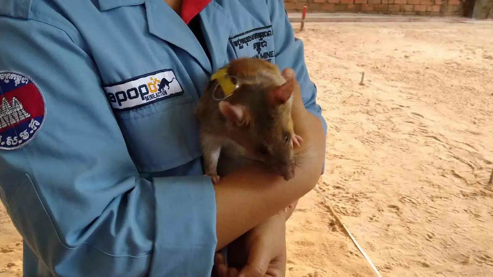 4 disaster relief and detection technologies that save lives | KnowTechie