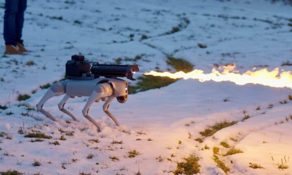 Please don't spend $10K on this flamethrowing robot dog | KnowTechie