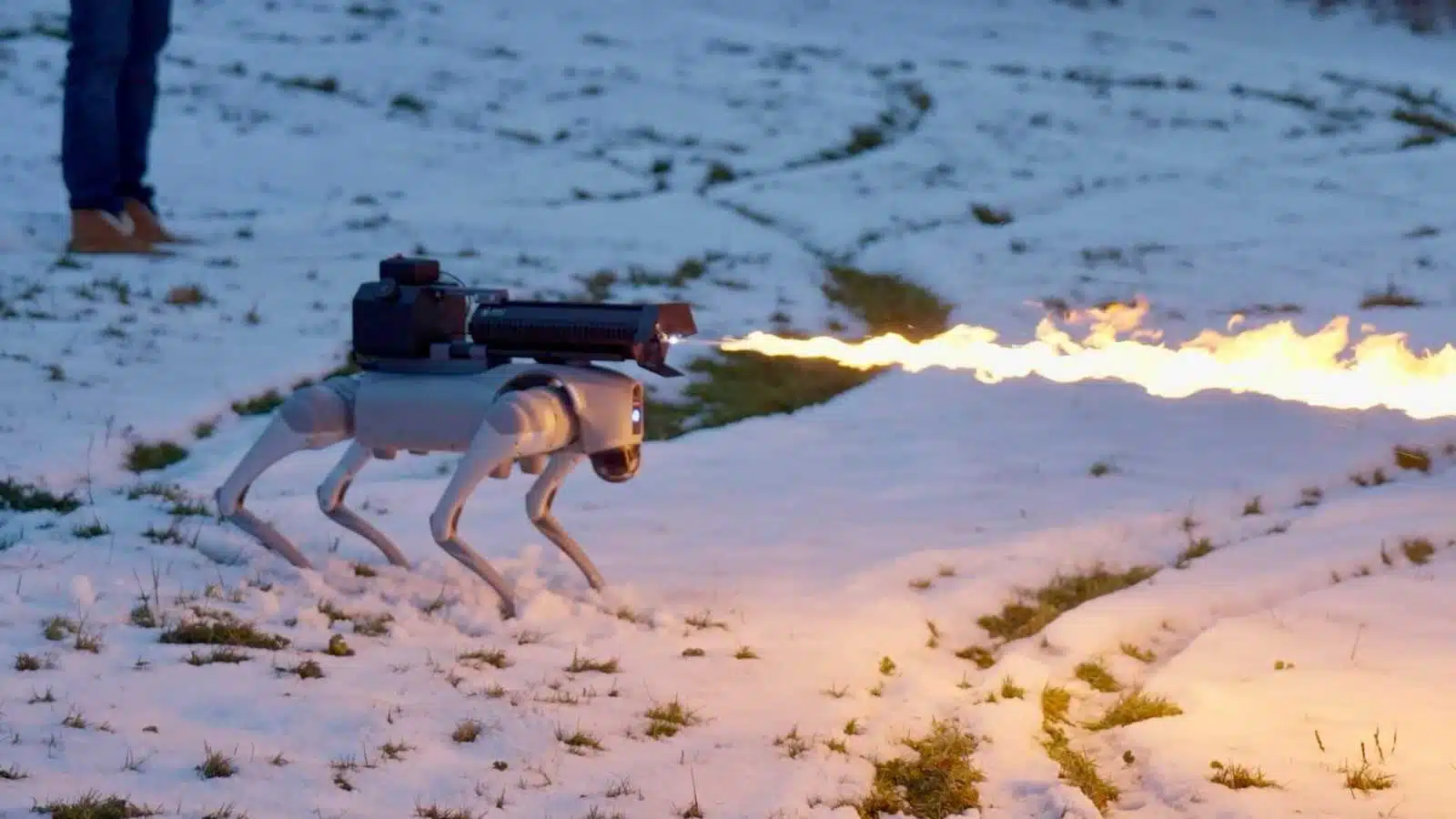 Please don't spend $10K on this flamethrowing robot dog | KnowTechie